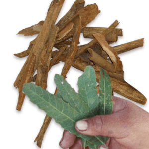 Herbs America - Makers of Maca Magic and Amazon Therapeutics