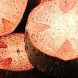 Herbs America - Makers of Maca Magic and Amazon Therapeutics