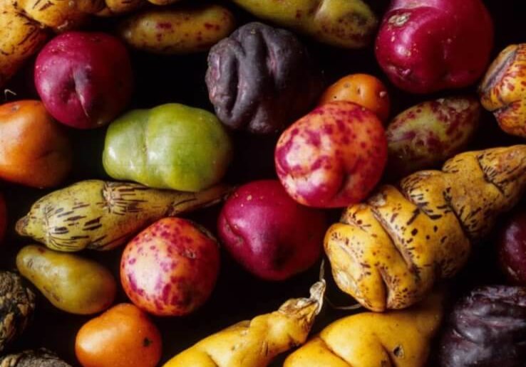 Maca - Herbs America, Inc.